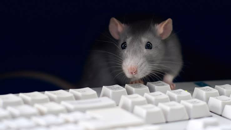 Lauda (Loda) RAT – TheCyberThrone
